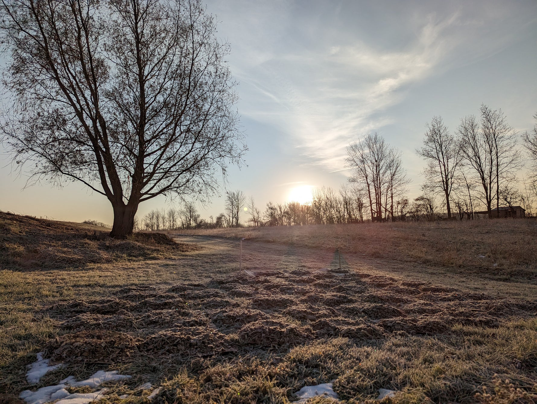 Who We Are – Humble Roots Tree Farm